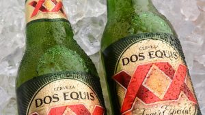 Dos Equis Beer: Alcohol Percentage, Calories, History & More
